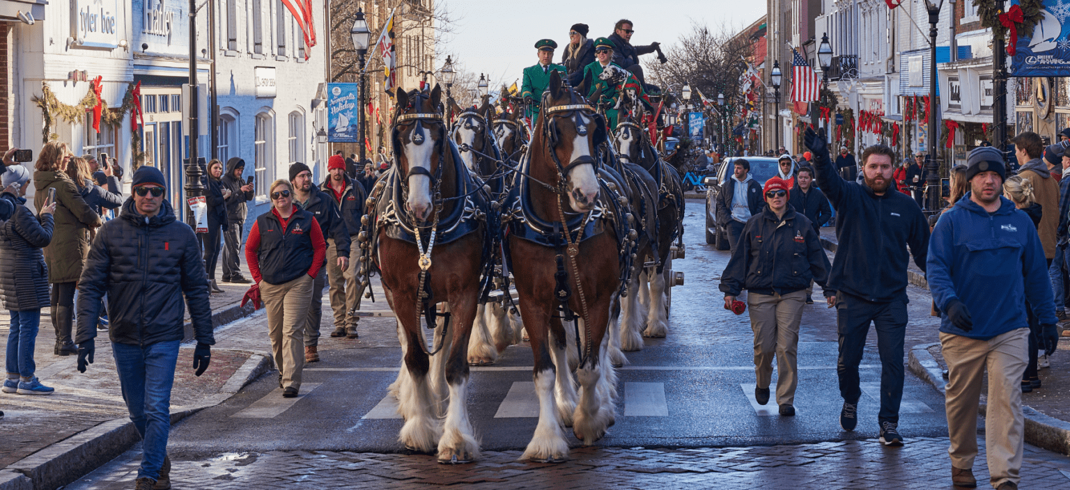 BUDWEISER CLYDESDALES SET TO LEAD THE MILITARY BOWL PARADE | Military Bowl